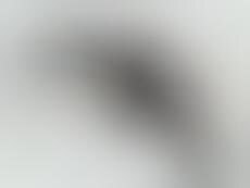 Interchangeable Stitched Seating : SCAR FURNITURE BY LUCA MACRi