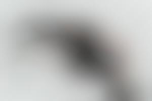 Interchangeable Stitched Seating : SCAR FURNITURE BY LUCA MACRi