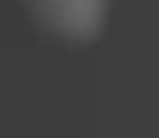 Faceless Gothic Portraits : Nightingale Vulture