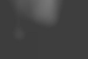 Faceless Gothic Portraits : Nightingale Vulture