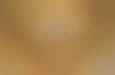 Punch-Worthy Car Crash Ads : Ecovia Don't Text and Drive