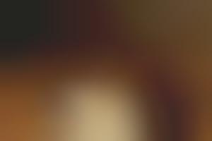 Wildlife Hairstylists: Animal Toupees