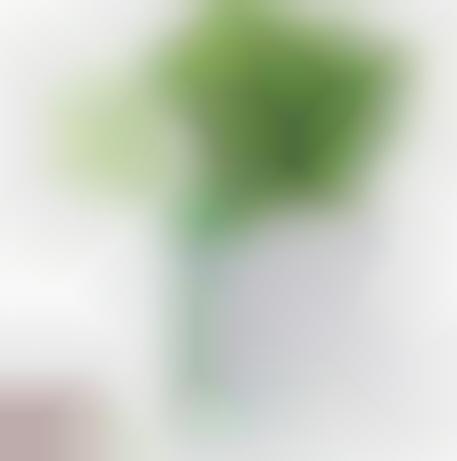 Automated Plant Growing: The 'Power Plant'