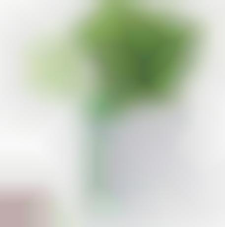 39 Small-Space Garden Innovations