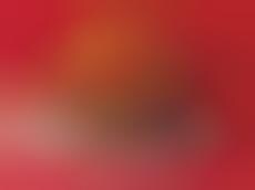 Luxury Junk Food: Caviar Burgers at Serendipity3