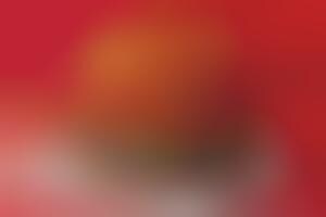 Luxury Junk Food: Caviar Burgers at Serendipity3