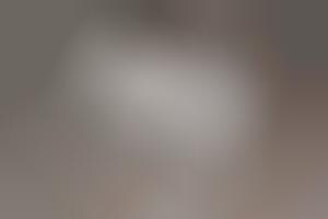 Rotary Phone Animals: Jean-Luc Cornec's Telephone Sheep