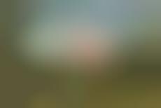 Giant Gum Bubbles: Big Babol Ads