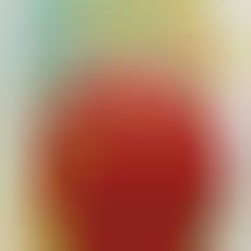 Foam Frisbees: Revolutionary EZ Spin Disc