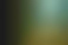 Surreal Deep Sea Displays (UPDATE) : underwater gallery