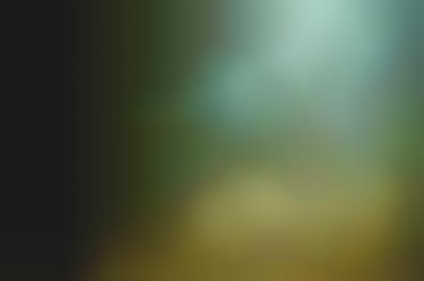 Surreal Deep Sea Displays (UPDATE) : underwater gallery