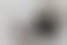 Stylish See-Through Teacups : Tazzezen Collection