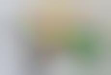 Table-Transforming Couches : onvertible Sofa by Julia Kononenko