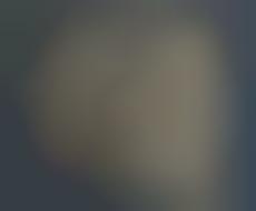 Masterful Intricate Wood Carvings : David Esterly