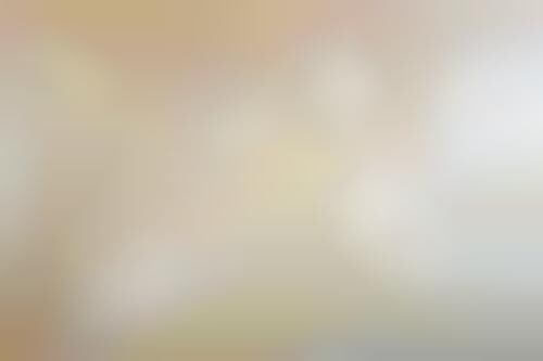 Whimsical Y-Shaped Dwellings : House H by Hiroyuki Shinozaki Architects