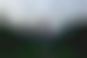 Expressive Self Portraits : Jared Tyler