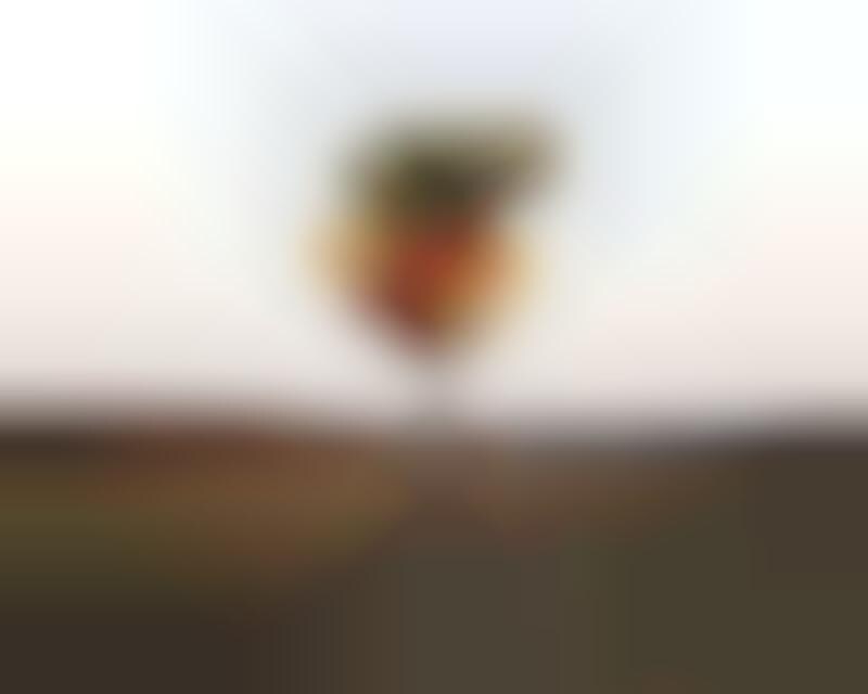 101 Decorative Paper Products