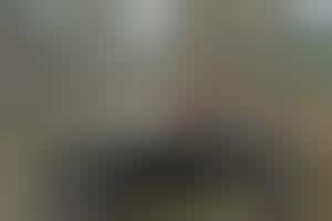 Comprehensive Toy Cars : realistic toy car