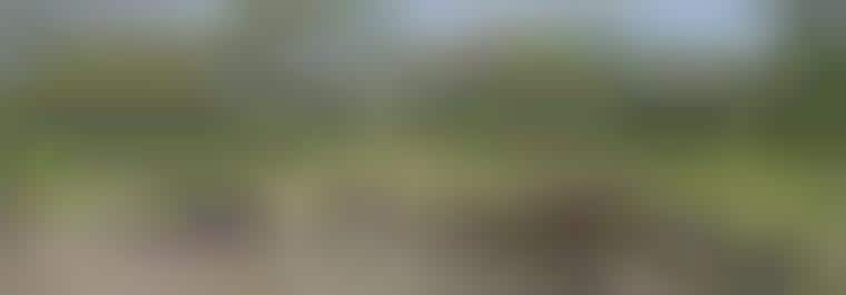 16 Environmental Conservation Businesses