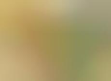 Snap-Shut Snack Lids : Copco Bag Cap