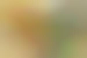 Snap-Shut Snack Lids : Copco Bag Cap