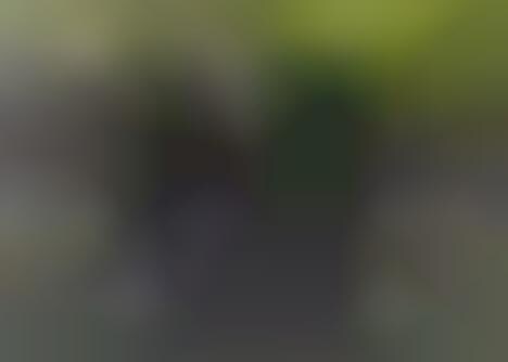 Top 100 Graffiti Trends in 2013