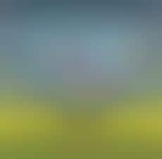 Meme Mortality Rate Infographics : popular internet memes