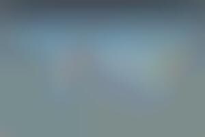 Meme Mortality Rate Infographics : popular internet memes