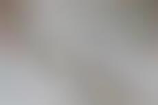 See-Through Bookmarks : DIY Transparent Book Marker