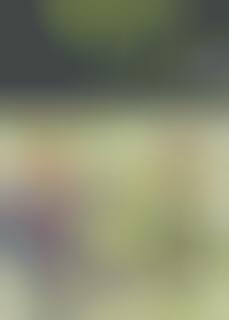 Geeky Personality Infographics : how to be a geek