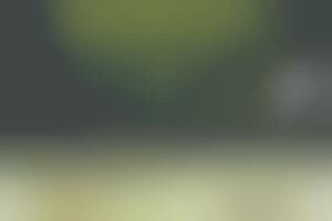 Geeky Personality Infographics : how to be a geek