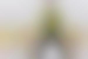 Dancing Pistachio Viral Ads : psy super bowl