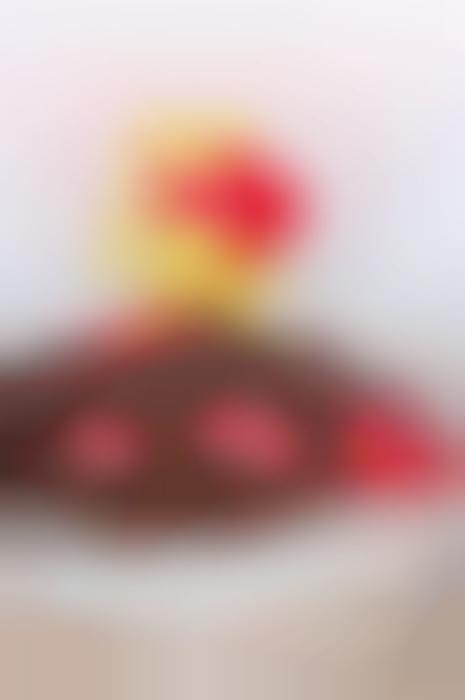 Tender Teeth-Bearing Treats : Alanabread Domo-Kun Cookies