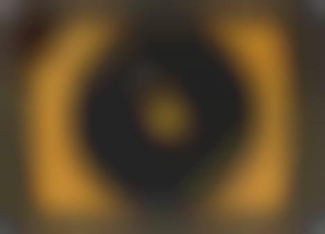 Vintage Vinyl Dishware : Long Plate