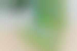 Chunky Mobile Protectors : Mango iPhone Case