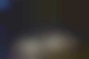 Exceptional Edible Rugs : Aude Moreau