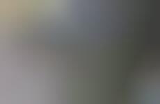 Disproportionate Self-Portraits : Paul Armstrong