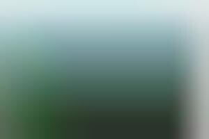 Biodiversity Contests : Tropical Forest Challenge