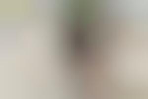 Boho Nomad Photoshoots : Cinder Magazine 'Road Flares'