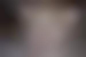 Cat Meme Tweet Translators : LOLCat Language