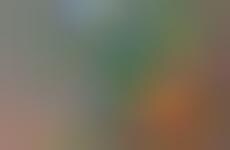 Wordy Board Game Rugs : board game rugs