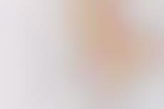 Nature-Inspired Building Blocks : Mokulock Wood Lego Bricks