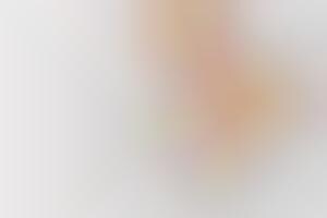 Nature-Inspired Building Blocks : Mokulock Wood Lego Bricks