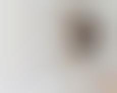 Animalistic Masked Accessories : Ana Rajcevic