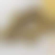 Buzzing Bee Chocolate Confections : john and kiras chocolates