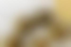 Buzzing Bee Chocolate Confections : john and kiras chocolates