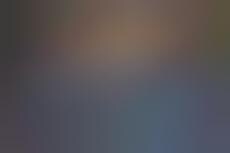 Frozen Tree Photography : Timothy Corbin