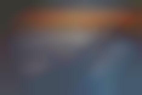 Frozen Tree Photography : Timothy Corbin