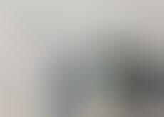 Upcycled Animal Book Stands : Animal Book Stands