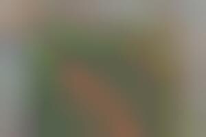 Addictive Drug Board Games : methopoly